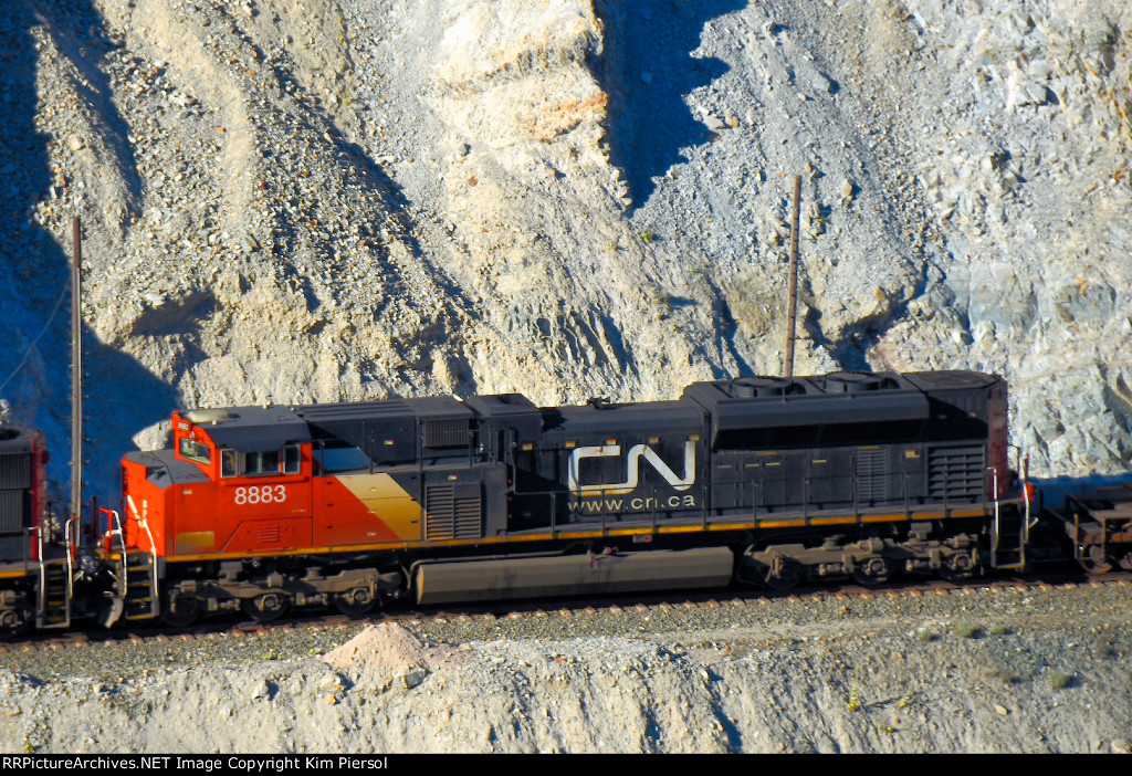 CN 8883